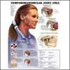 TMJ Chart